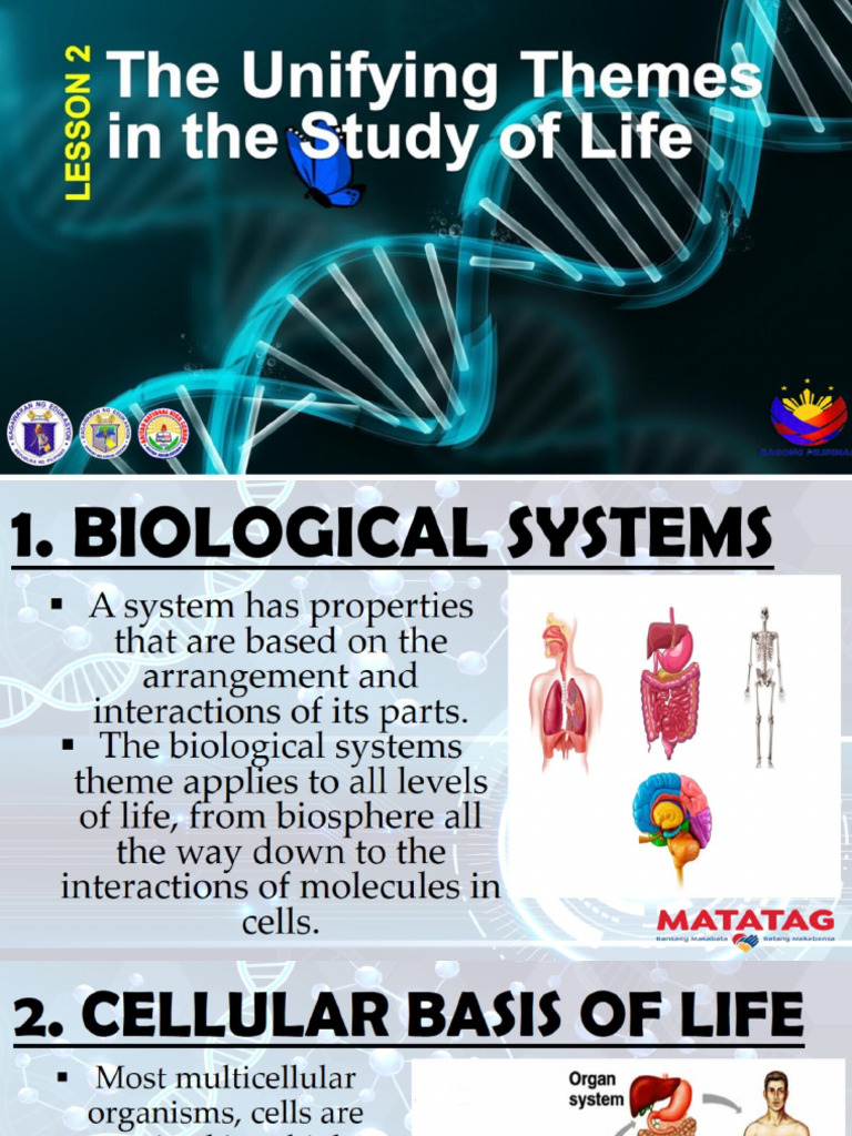 Lesson II Unifying Themes of Life | PDF