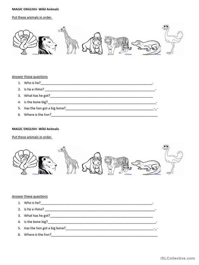 Magic English: Wild Animals Quiz | PDF