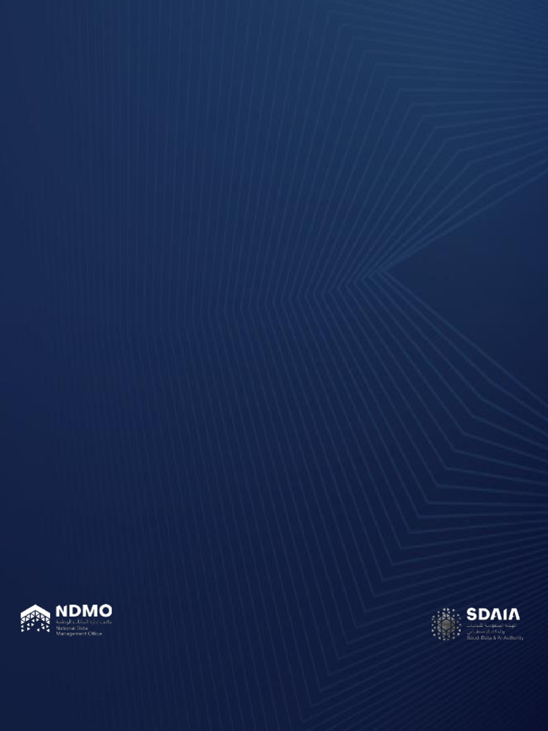 NDMO - Data and Privacy Regulatory Sandbox - Guideline | PDF | Privacy ...