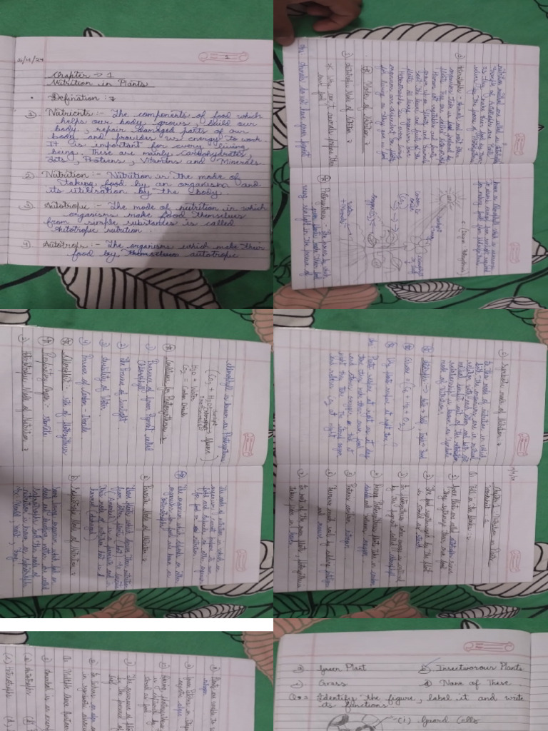 Class 7 Notes of 'A' Section | PDF