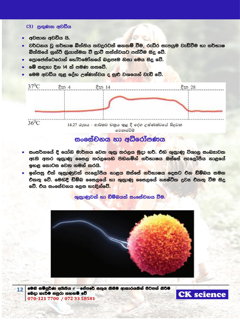 09prajananaya CK Science (Epapere) | PDF
