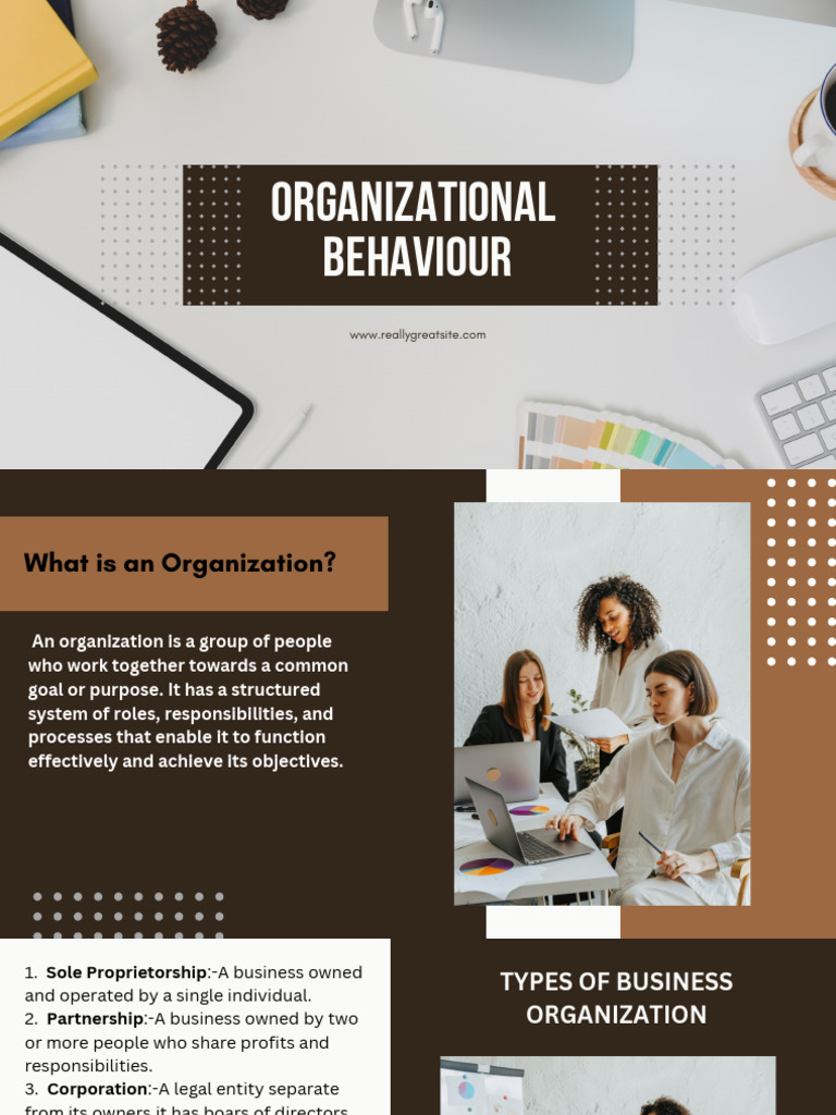 Organizational Behaviour | PDF