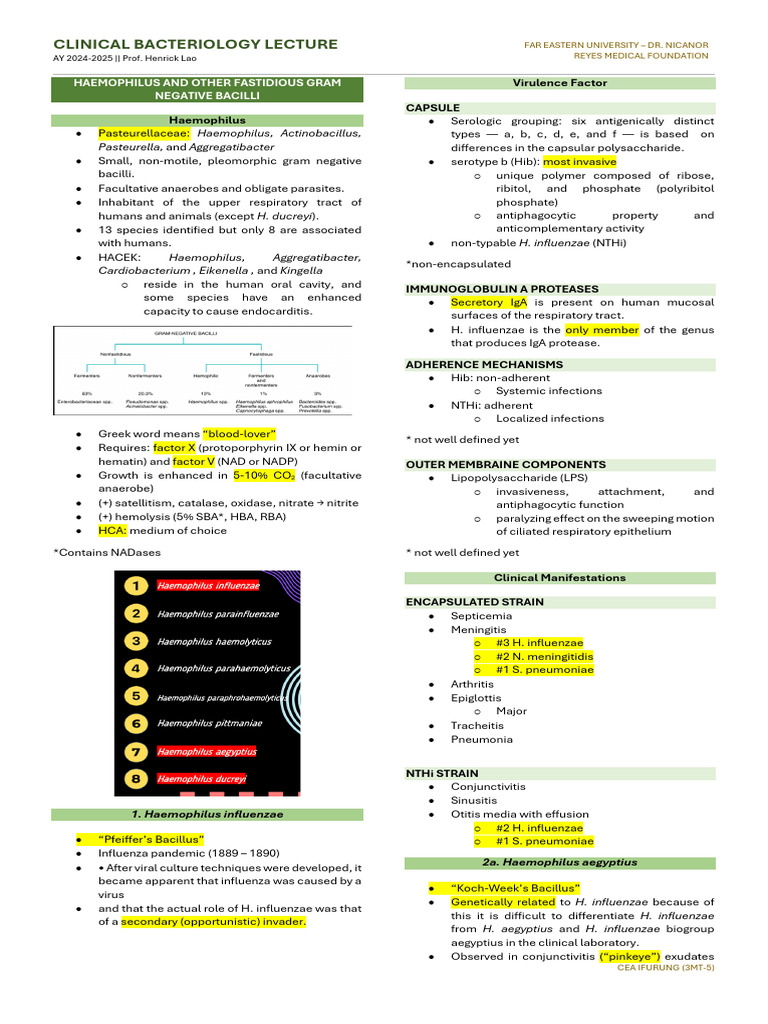 Coccobacillus and Gram-Negative Rods Analysis | PDF | Microbiology ...