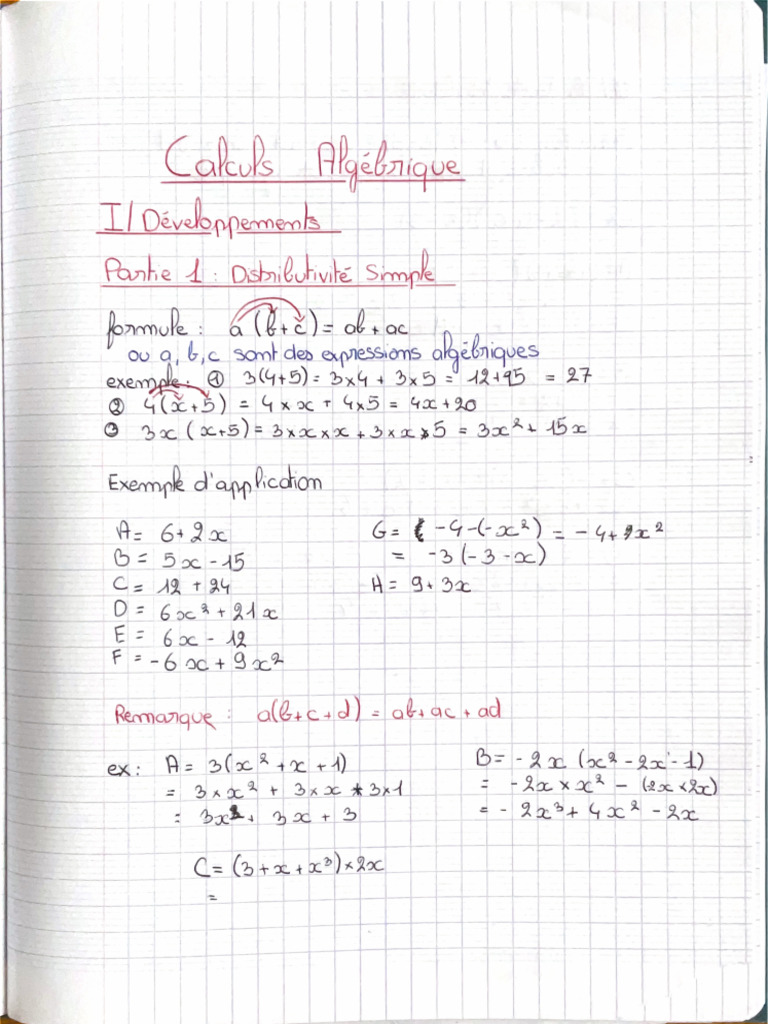 Cours Maths Calcul Algébrique | PDF