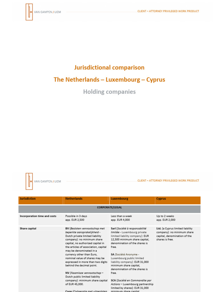 Holding Company Comparison Chart Netherlands Lux | PDF | Capital Gains ...