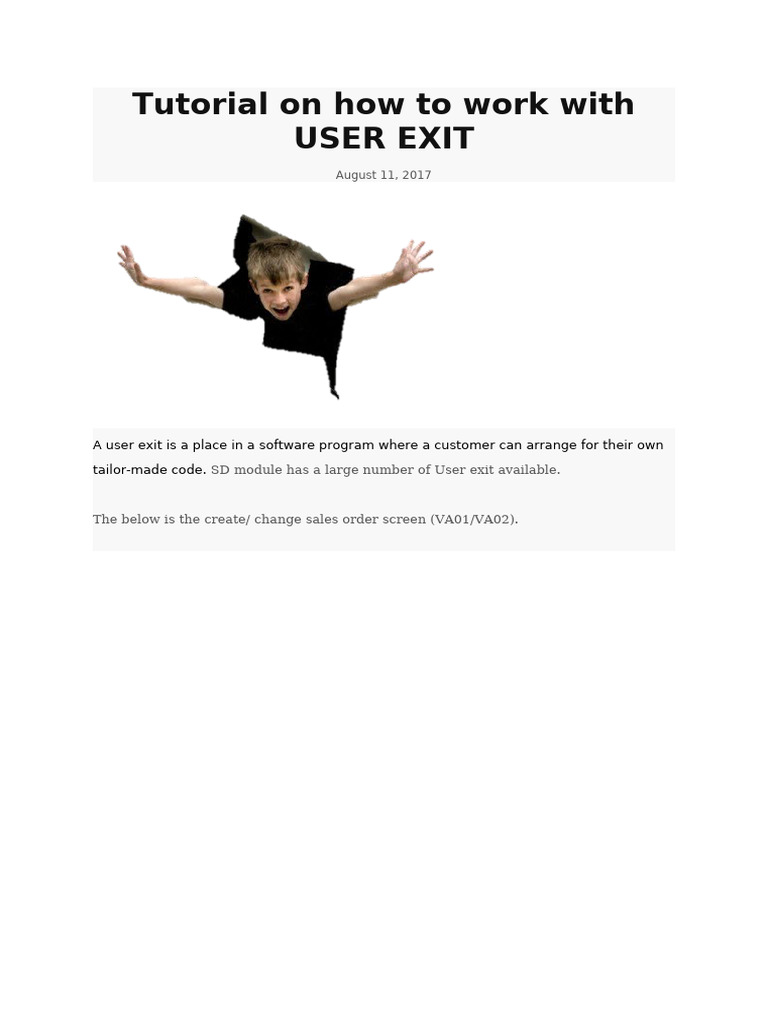 Tutorial On How To Work With USER EXIT | PDF