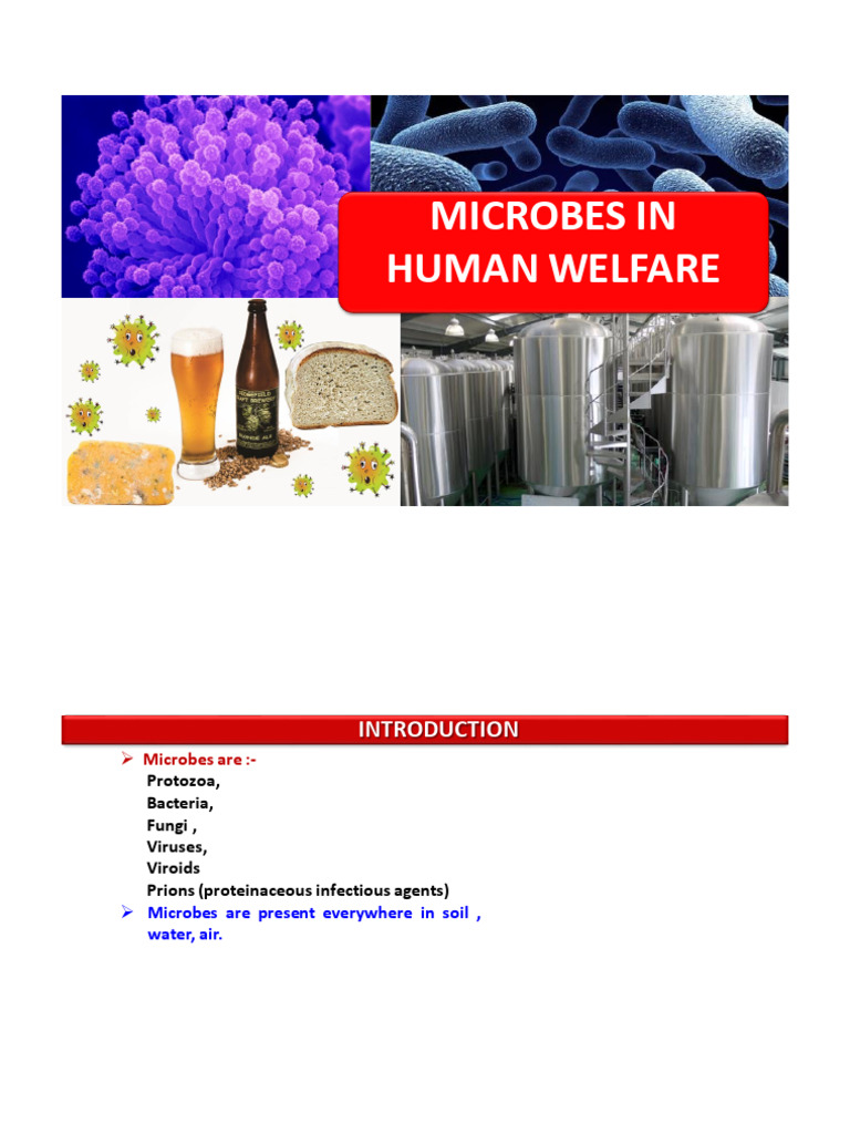 Microbes | PDF | Biological Pest Control | Alcoholic Beverages