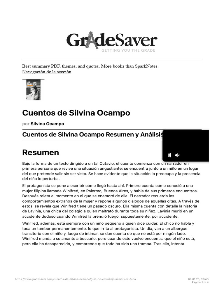 Resumen y Análisis La Furia - GradeSaver | PDF | Narración
