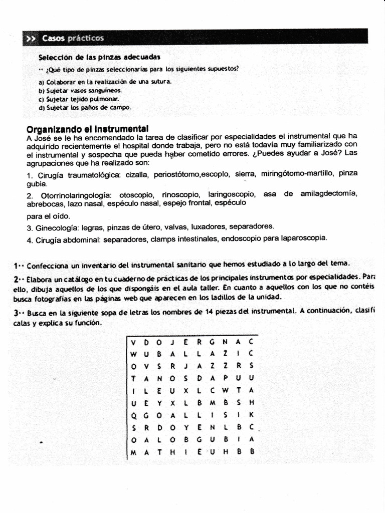 Ejercicios Sopa de Letras HMH | PDF