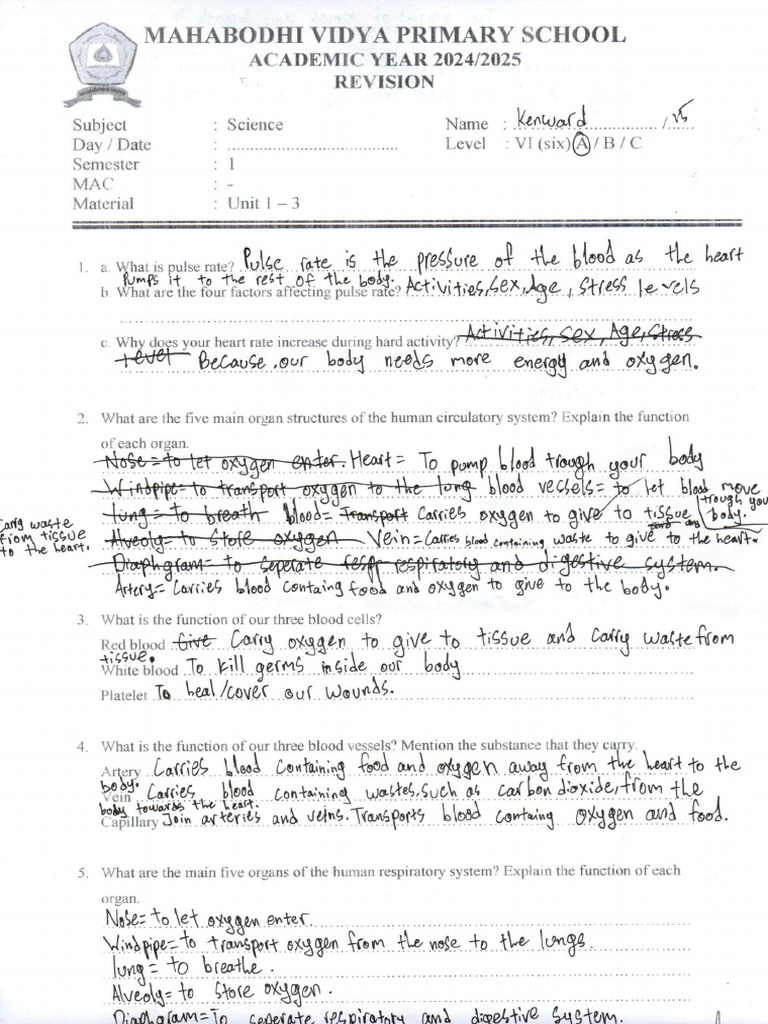 REVISION UNIT 1 - 3 | PDF