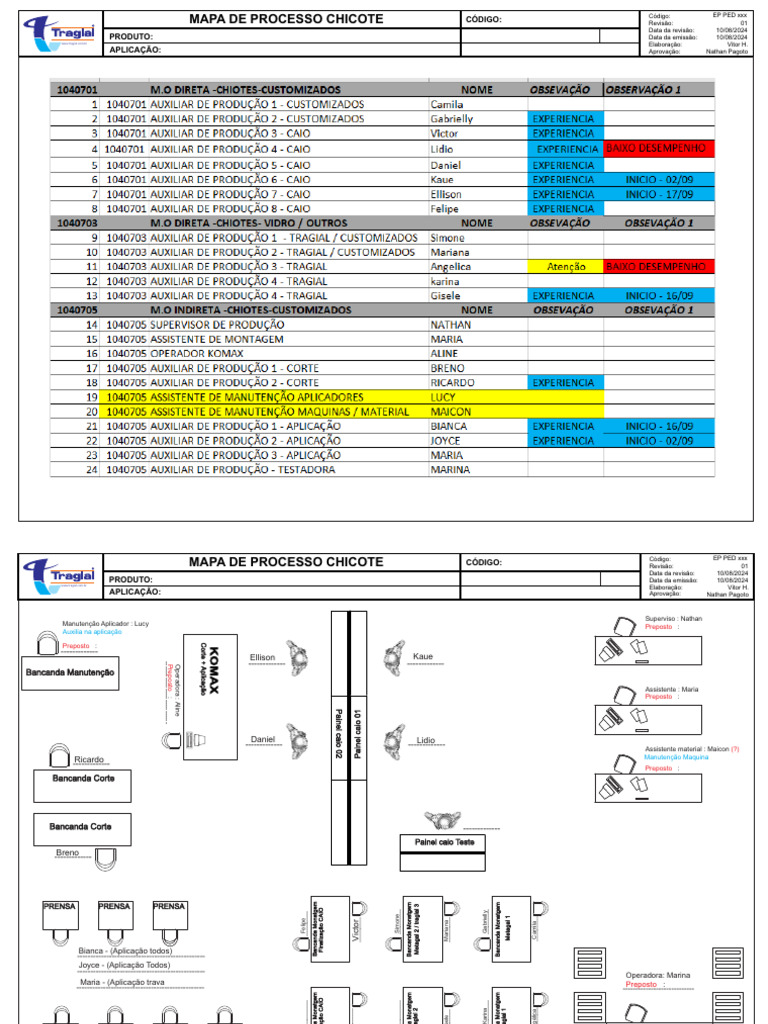 Mapa de Processo | PDF
