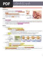 Suboclusion Intestinal | PDF | Enfermedades digestivas | Gastroenterología