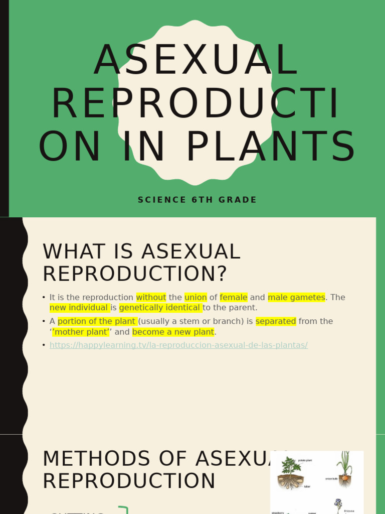 Asexual Reproduction in Plants | PDF