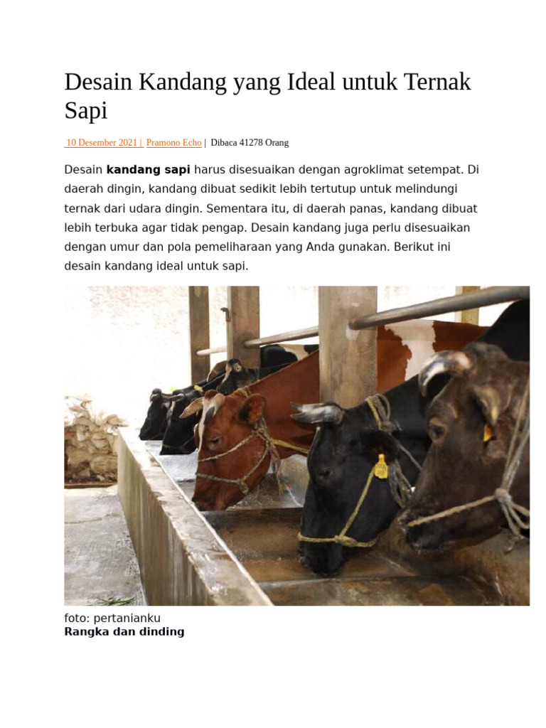 Desain Kandang Sapi Ideal | PDF