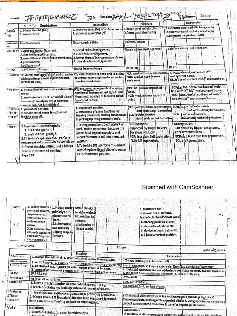 Ms Test | PDF