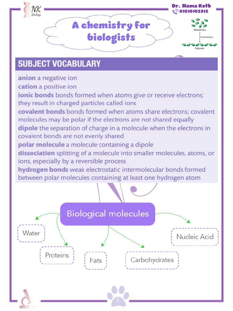 Unit 1 Notes | PDF | Atrium (Heart) | Artery