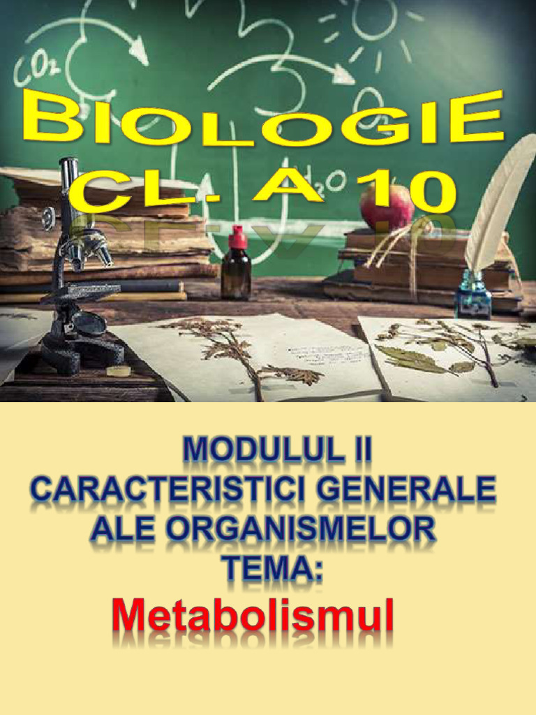 Metabolismul | PDF
