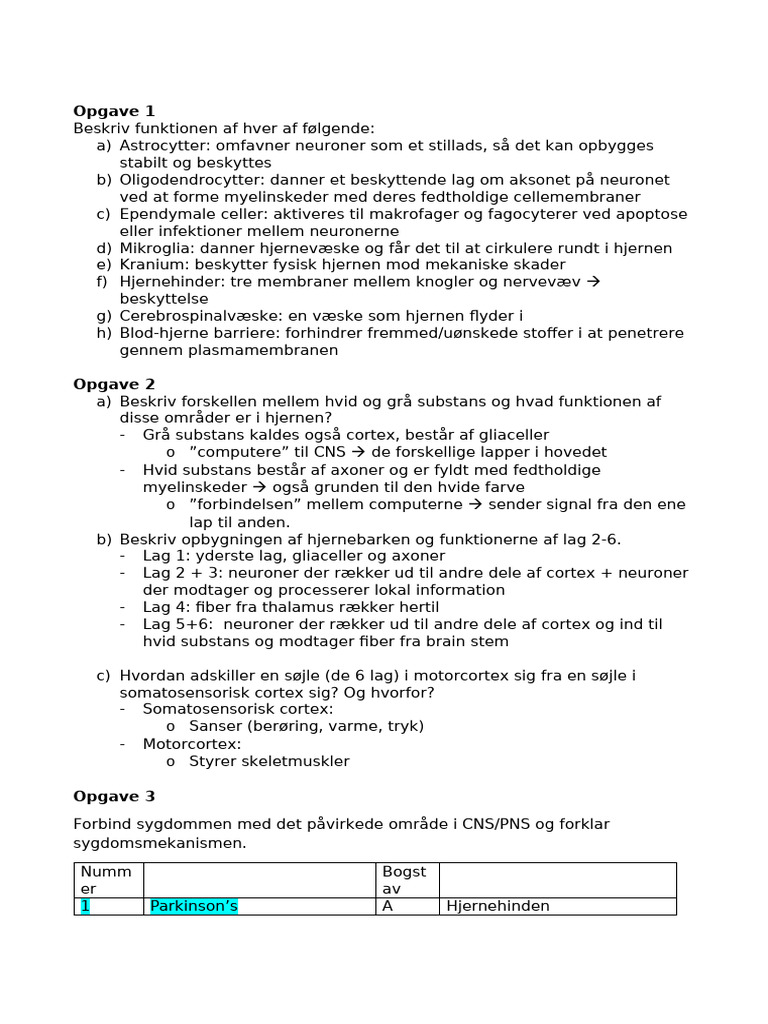 Øvelse - Nervesystemet - CNS | PDF