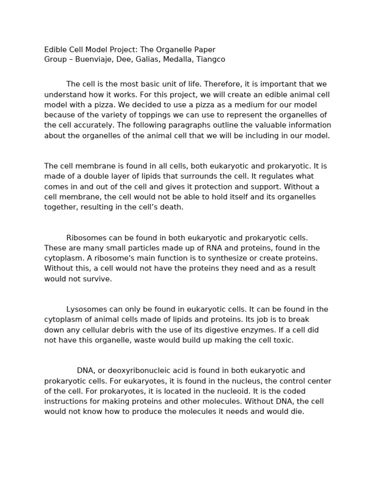 Animal Cell Paper | PDF | Cell (Biology) | Endoplasmic Reticulum