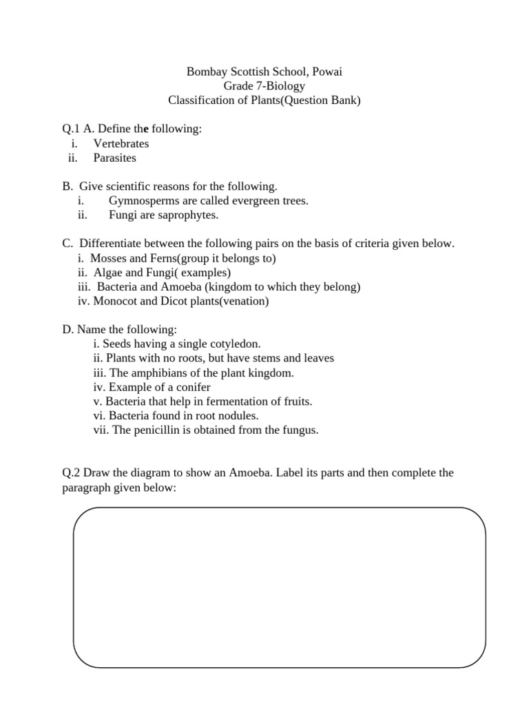 Grade 7 Biology: Plant Classification Q&A | PDF