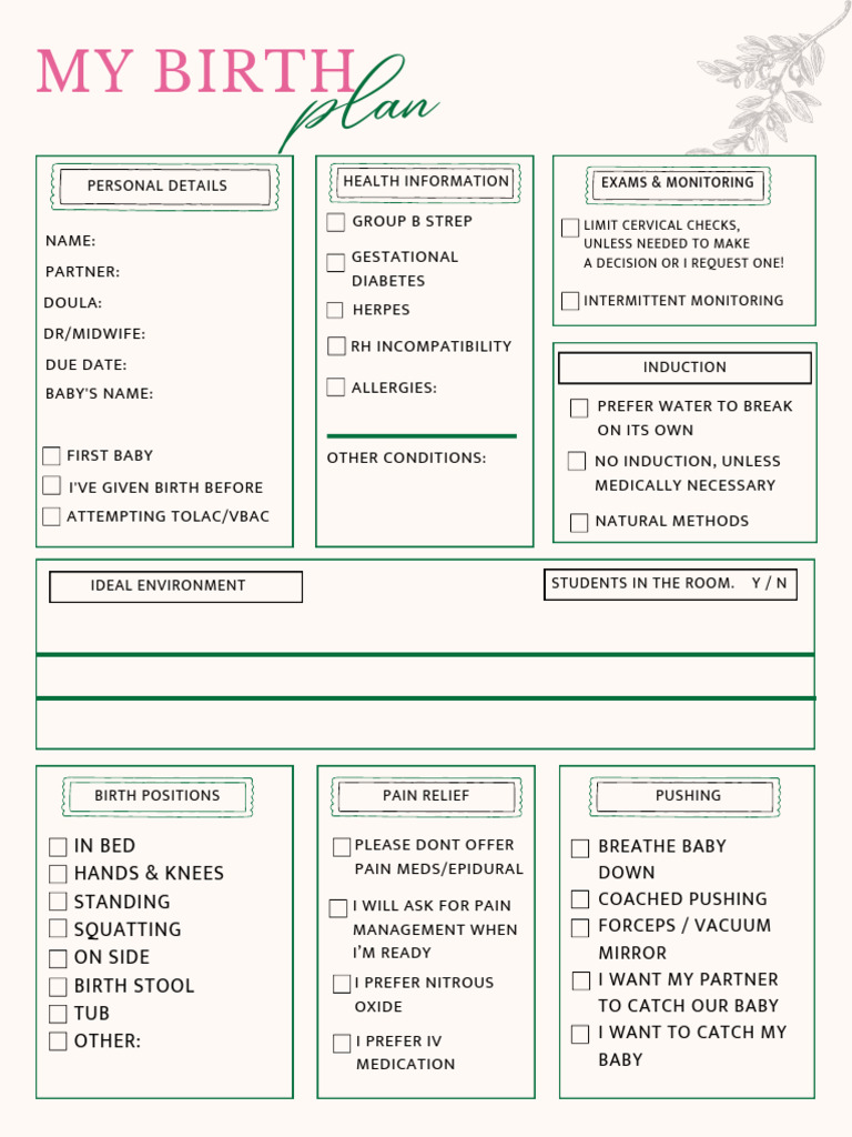 birth plan template | PDF | Midwifery | Medical Specialties