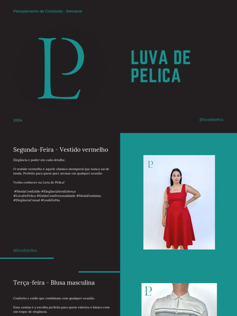 Planejamento de Conteúdo - Luva de Pelica | PDF