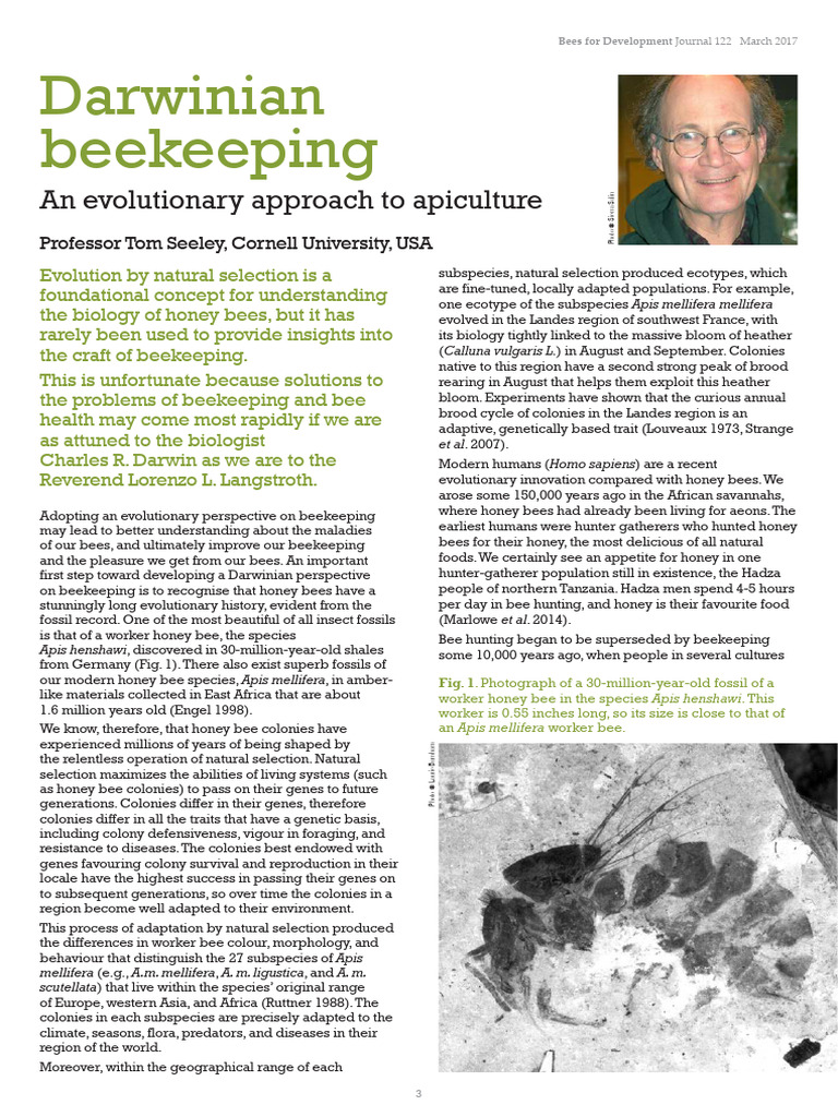 Tom Seeley Darwin Bee | PDF | Honey Bee | Beekeeping