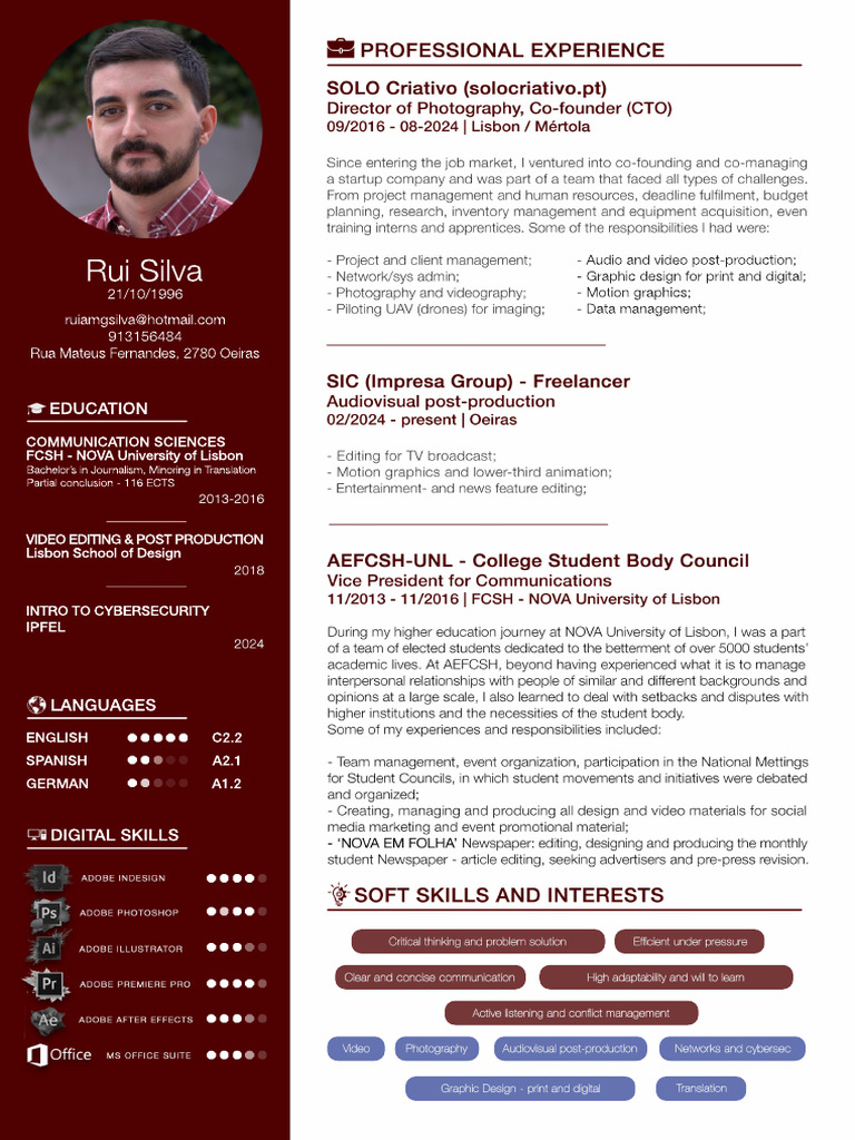 CV - Rui Silva - ING - 2024 | PDF