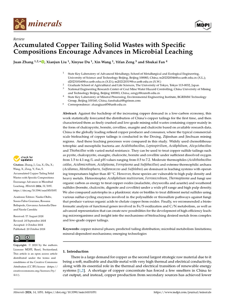 Accumulated Copper Tailing Solid Wastes With Specific Compositions ...