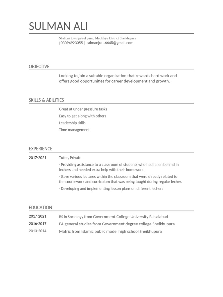 Sulman's resume 2 | PDF