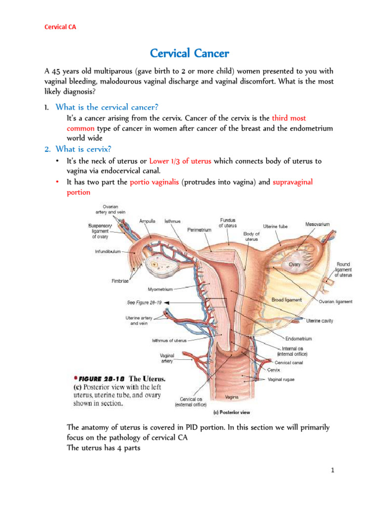 CASE 22 - Cervical Cancer | PDF | Cervical Cancer | Medical Specialties