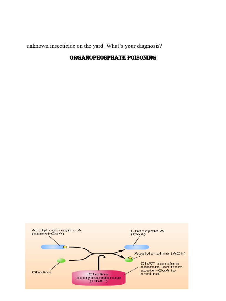 Organophosphate Poisoning in Children | PDF | Kidney | Neurotransmitter