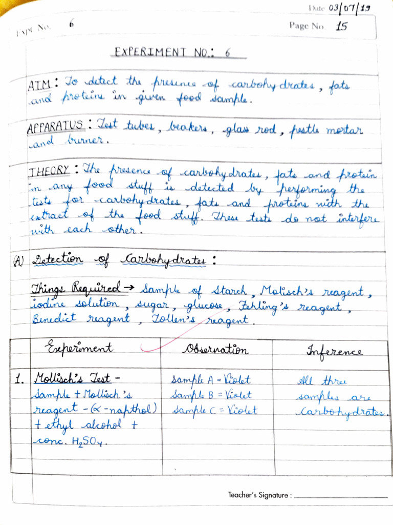 Experiment Food Sample | PDF