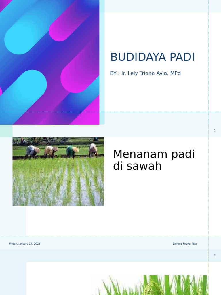 Budidaya Padi | PDF
