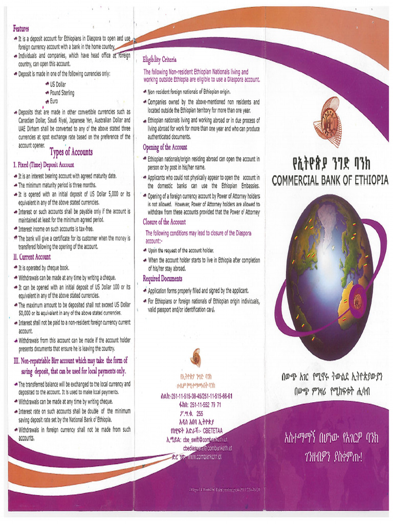 Diaspora CBE Account en | PDF