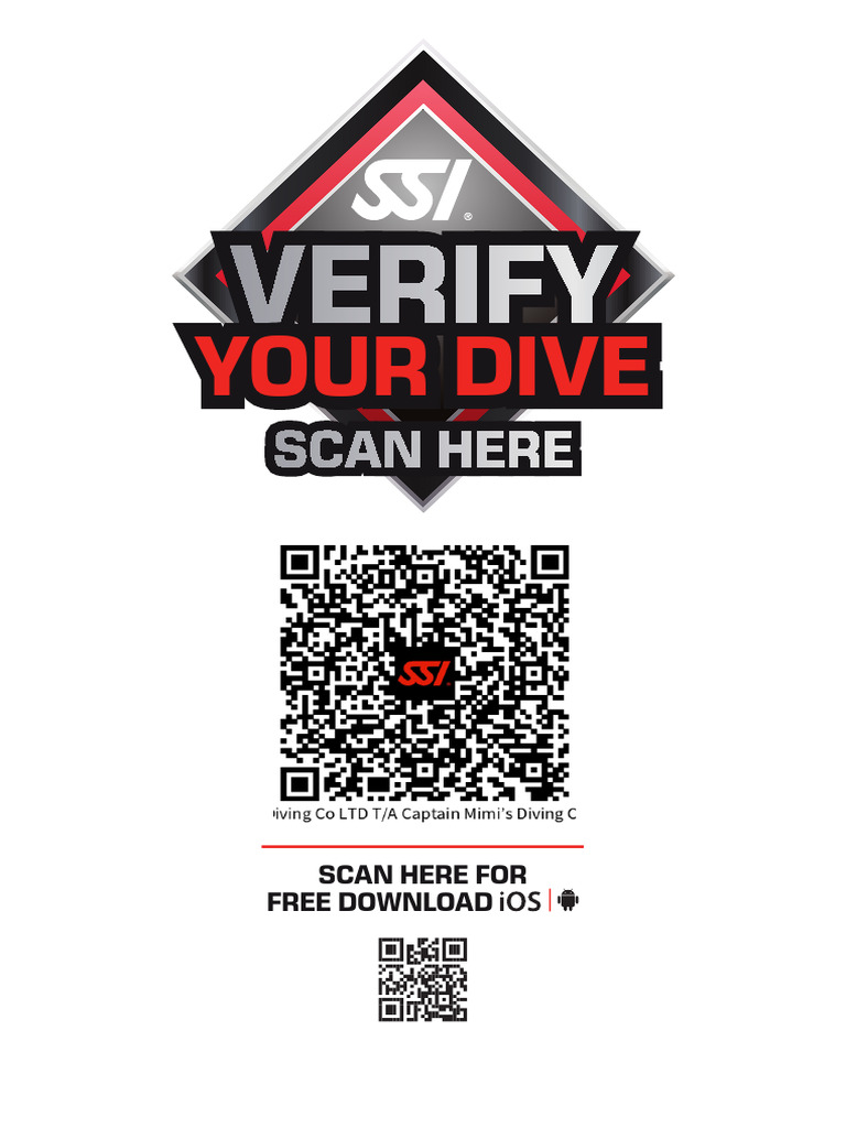 Verify Your Dive: Free Download | PDF