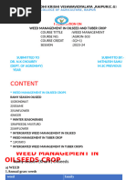 Covo Rugare Gold PLUS | PDF | Fertilizer | Seed