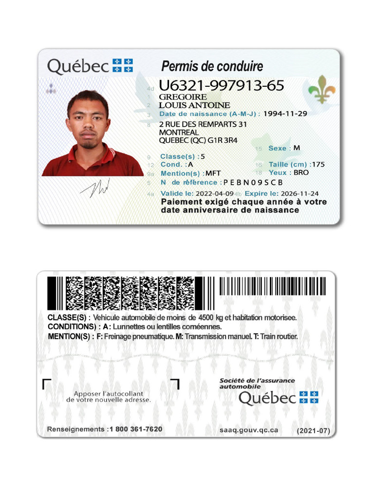 Driver Licence | PDF