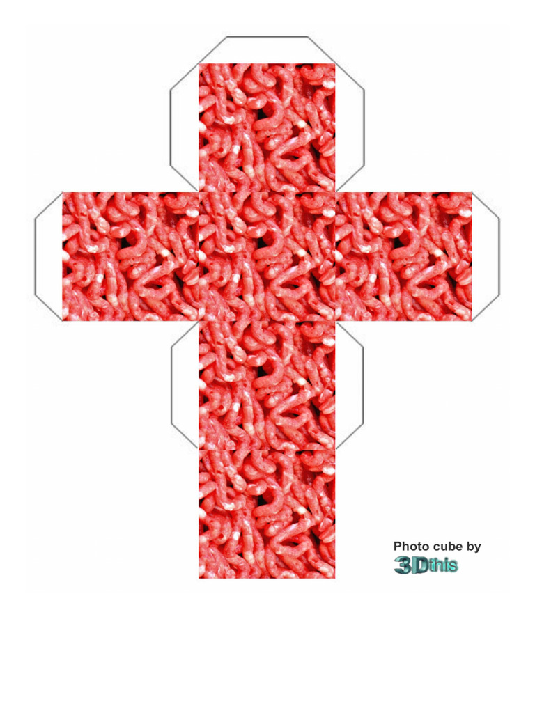 Meat Cube | PDF