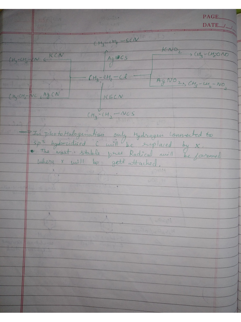 Biomolecule class 12 chemistry notes | PDF