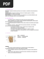 Cíngulo Dental: Revisión y Funciones | PDF | Boca | Odontología