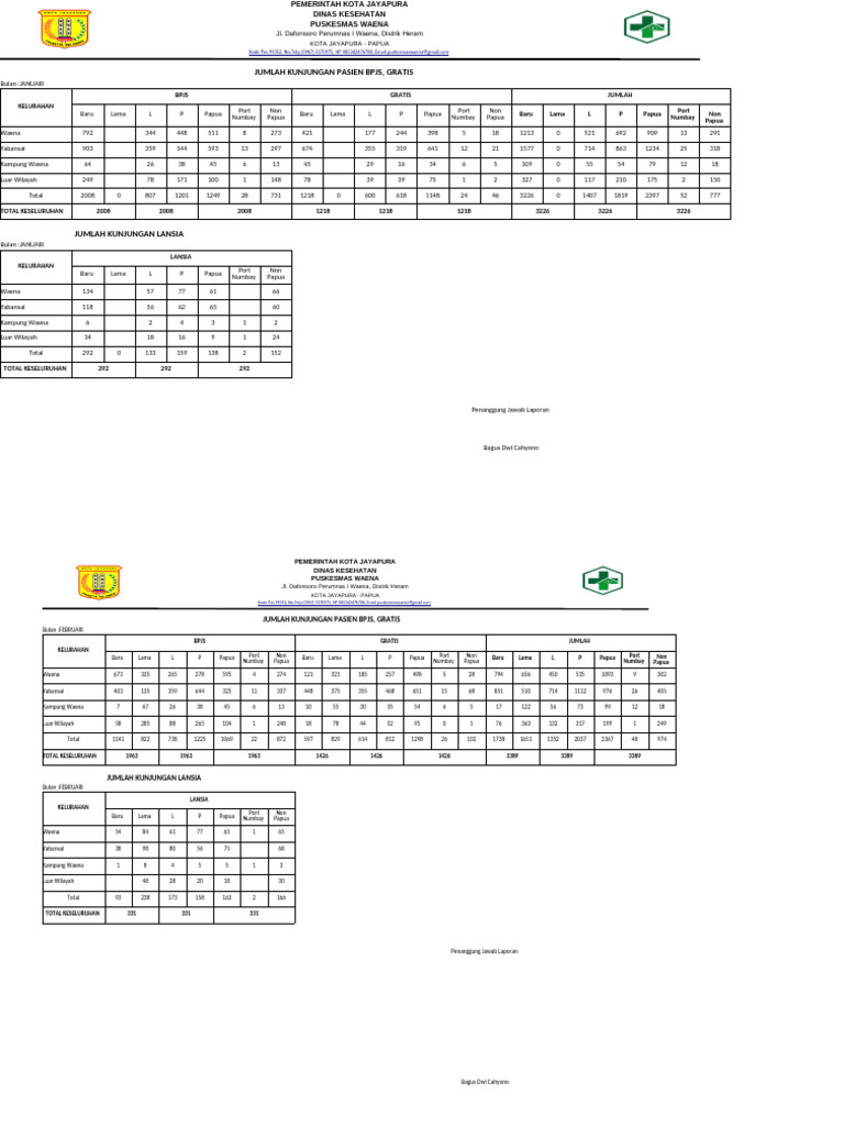 Laporan Kunjungan 2024 | PDF