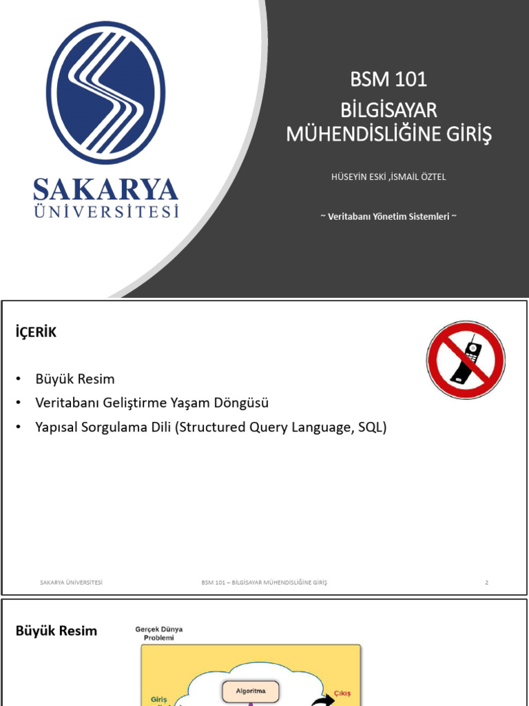 10.2 - Veritaban - Yönetim - Sistemleri | PDF