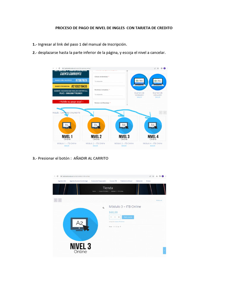 Manual Pago en Linea | PDF