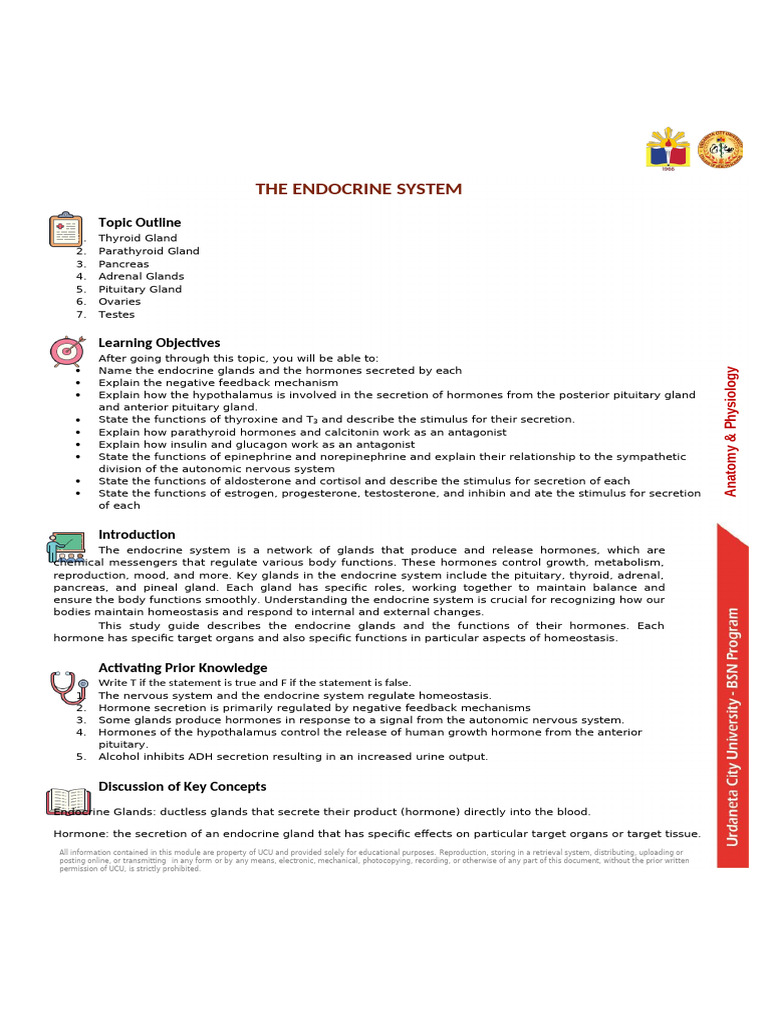 Endocrine System Study Guide | PDF | Endocrine System | Adrenal Gland