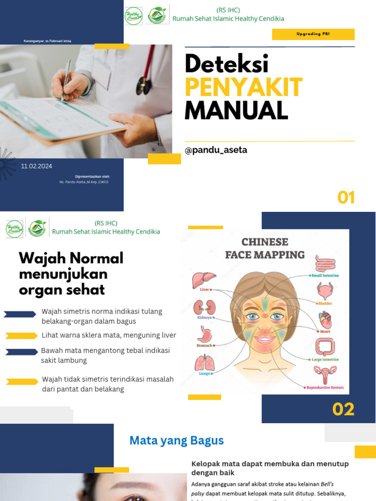 Deteksi Manual Pandu Aseta | PDF
