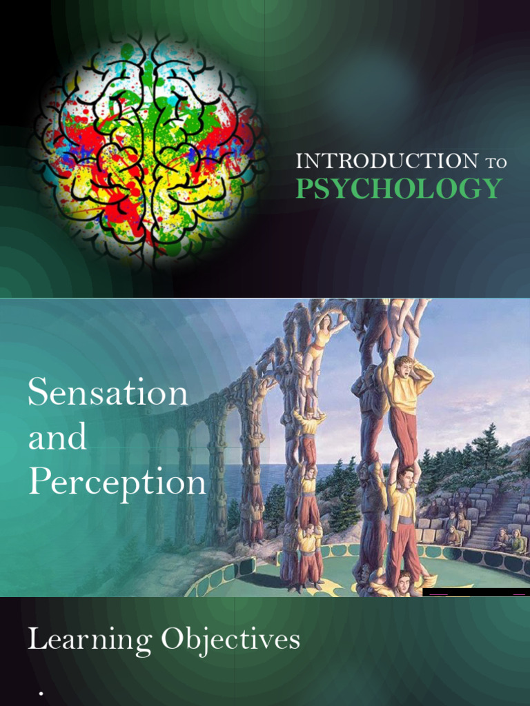 04 Sensation and Perception | PDF | Senses | Perception
