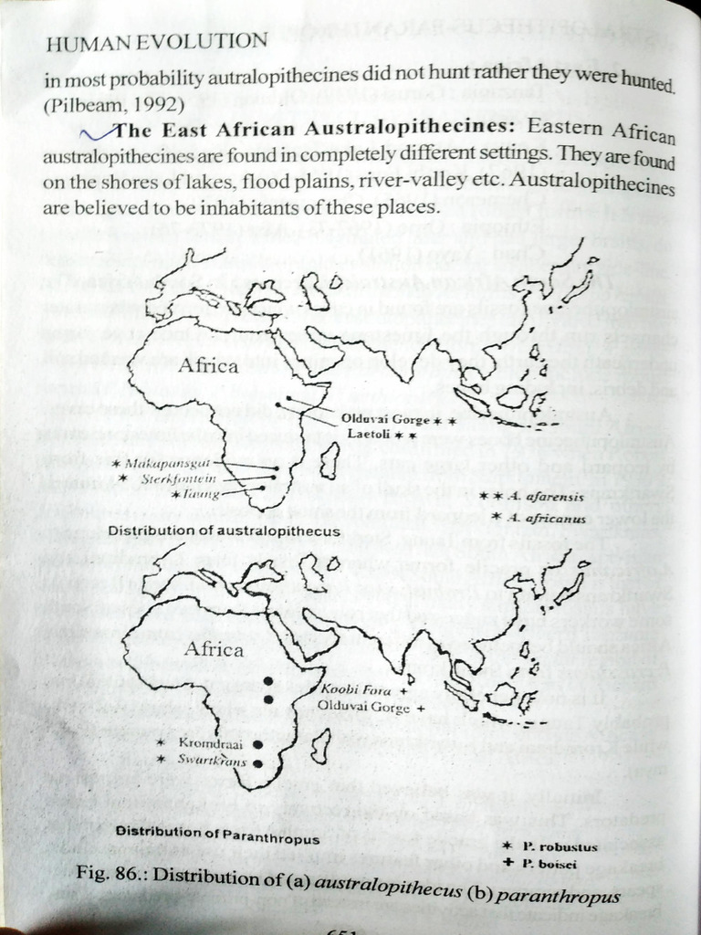 Anthropology Notes 2-12-24 | PDF