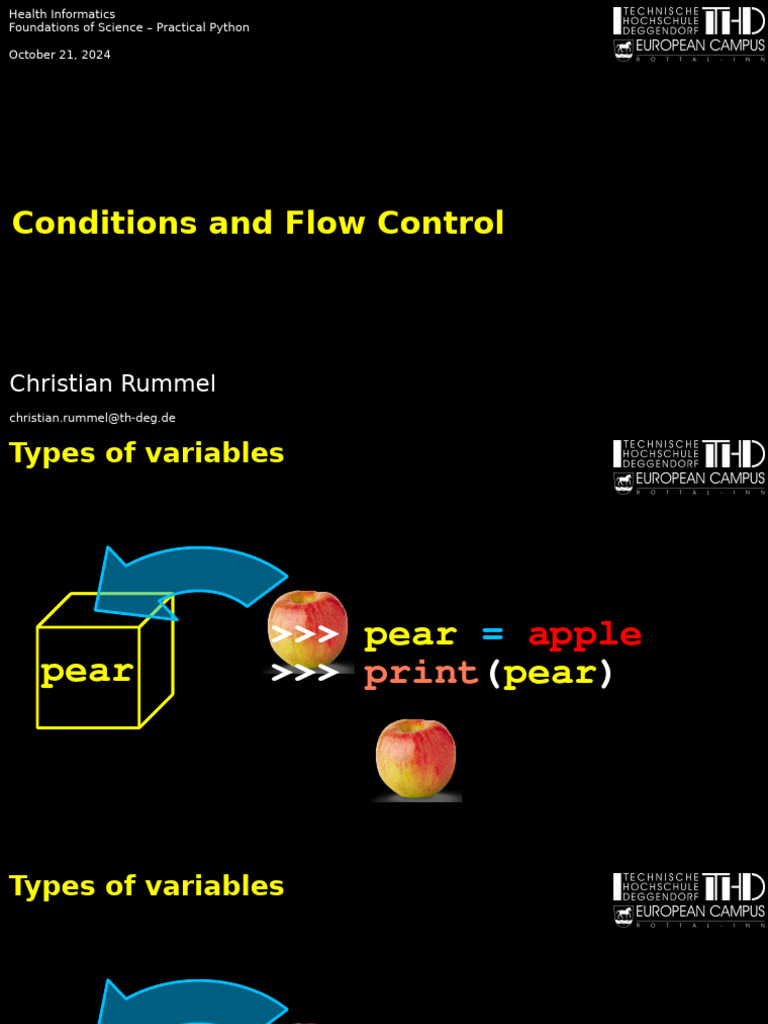 20241021foundsciconditionsandflowcontrol Pdf Boolean Data Type Integer Computer Science 