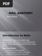 Nail Anatomy and Functions Worksheet | PDF | Nail (Anatomy ...